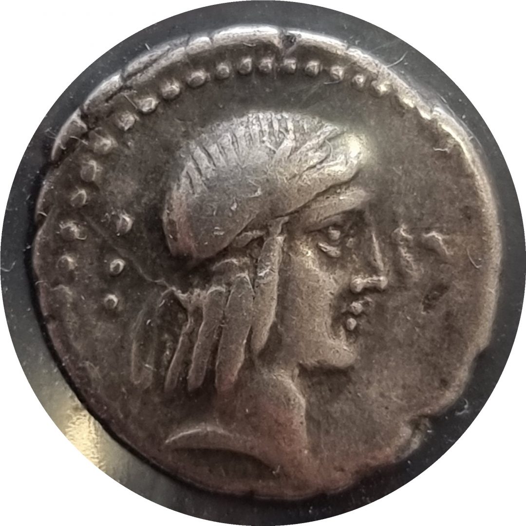 Coins | Southern Cross Coins