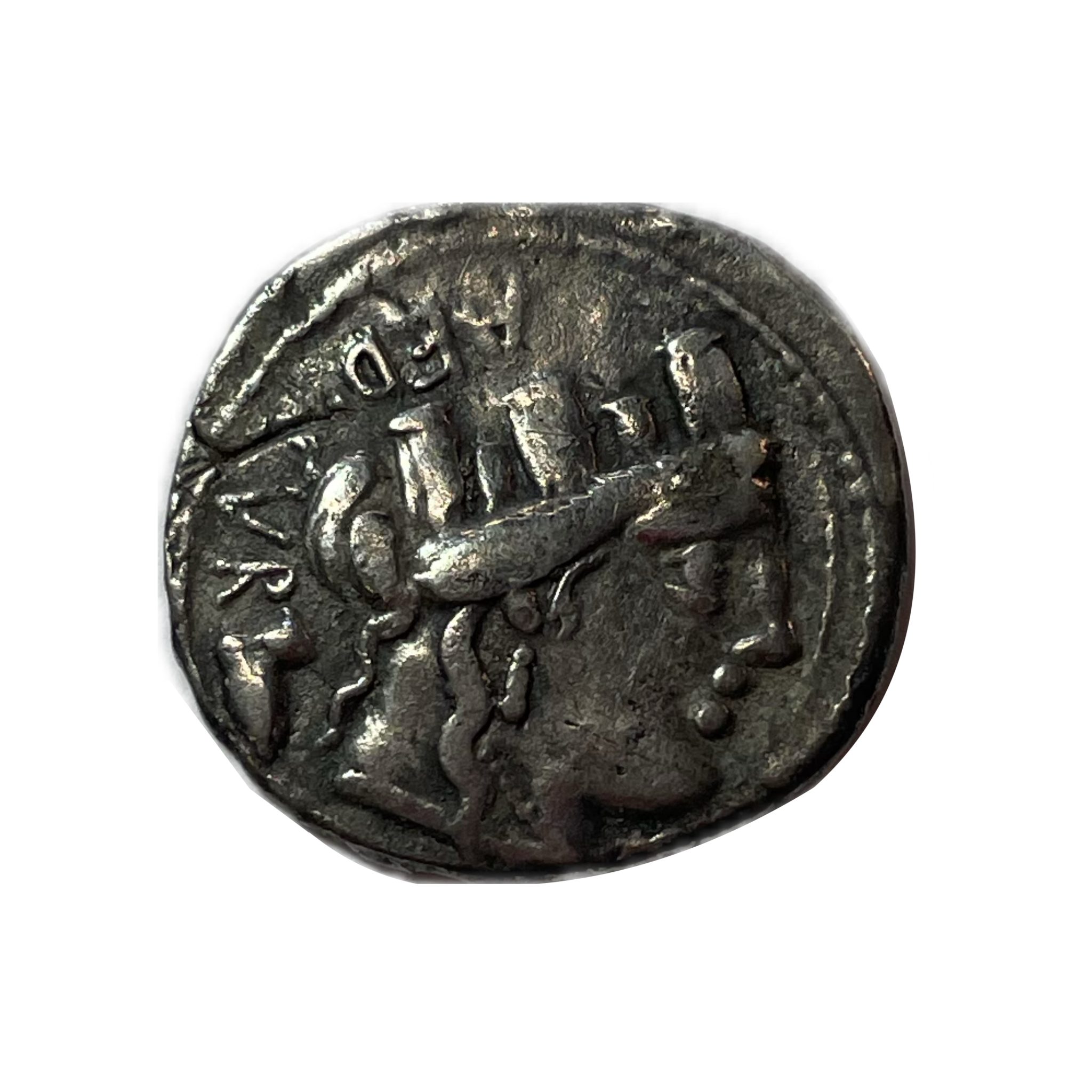 New Arrivals! | Southern Cross Coins